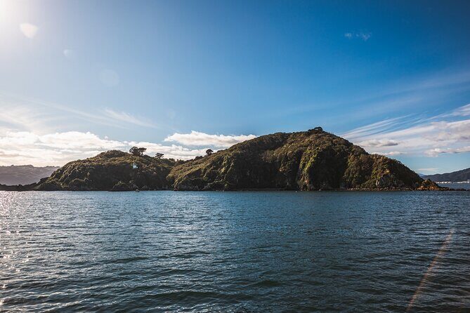 Wellington 90 minute Harbour Cruise - Who Will Love This Experience?