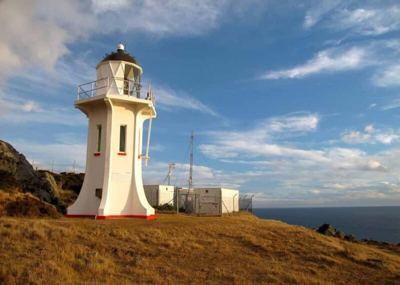 Wellington: Baring Head Lighthouse Walk - Key Points
