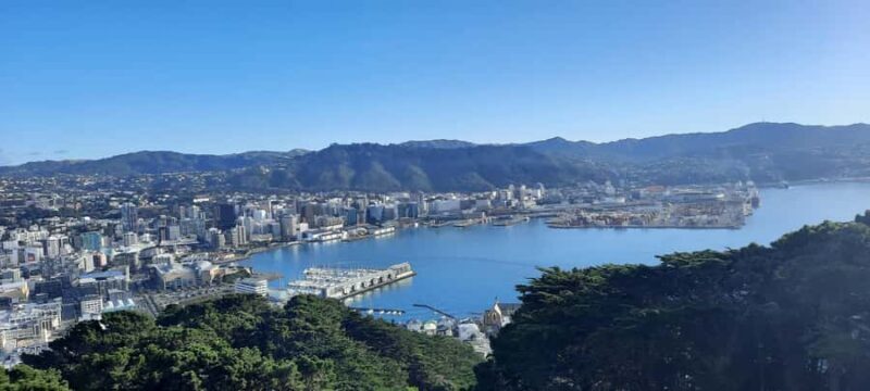 Wellington: Cave to Coast Highlights Guided Tour - Key Points