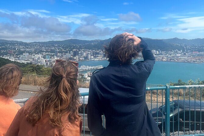 Wellington City and Sea: Private Tour in Electric Tesla SUV - FAQ