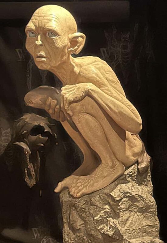 Wellington city heights private sightseeing tour - Exploring the Wellington City Heights Private Tour