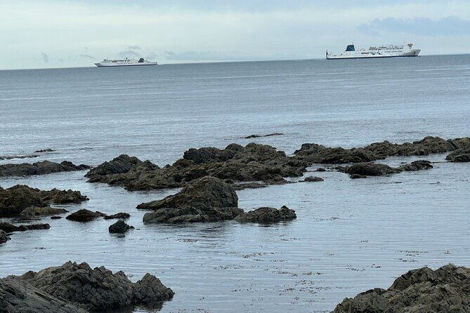 Wellington city heights shared sightseeing tour - Exploring Wellington: A City Built on Hills and Stories