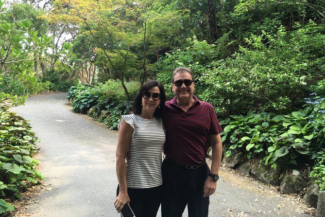 Wellington city heights sightseeing Private 5 hour tour - Final Verdict