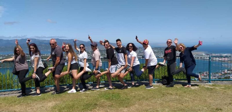 Wellington: City Highlights Tour with Cable Car Ride - Key Points