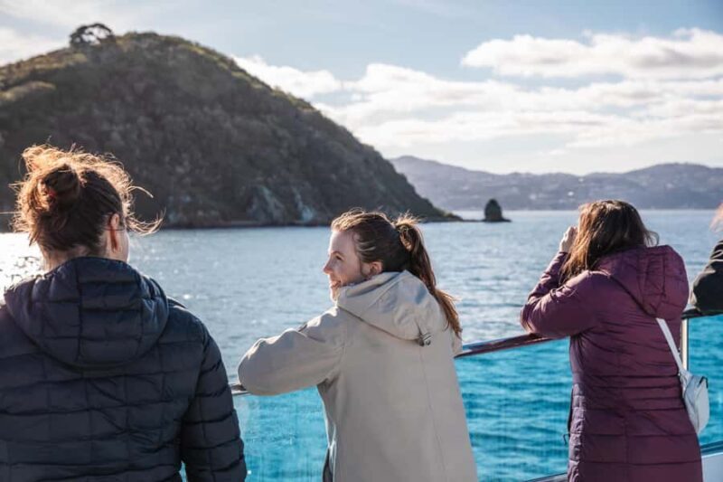Wellington: Commentated Harbour Explorer tour - Final Thoughts on Value and Experience