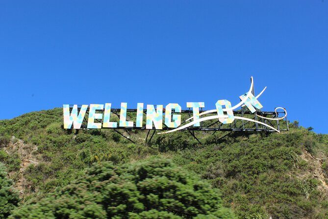 Wellington Full Day Private Tour in Electric Tesla SUV - Why Choose This Wellington Tour?