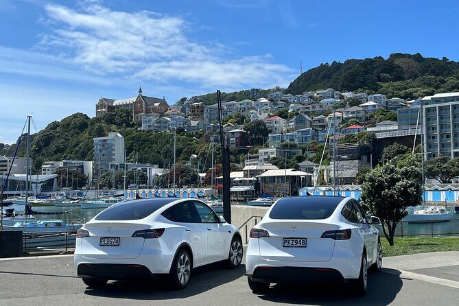 Wellington Full Day Private Tour in Electric Tesla SUV - The Sum Up