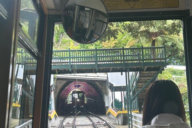 Wellington Full Day Private Tour in Electric Tesla SUV - FAQ