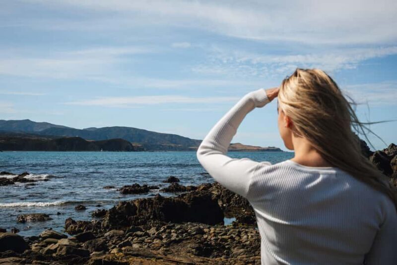 Wellington: Guided City Tour with Cable Car Ticket - Transport, Timing, and Group Size