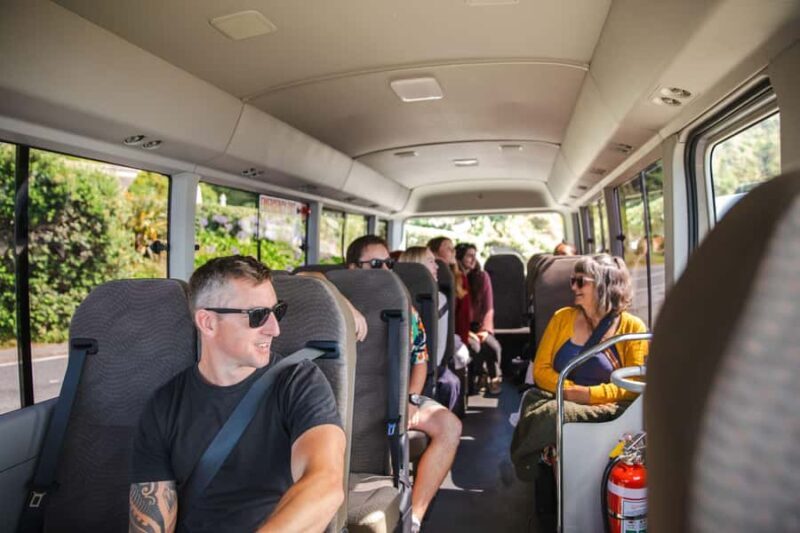 Wellington: Guided City Tour with Cable Car Ticket - Authentic Insights from Reviews