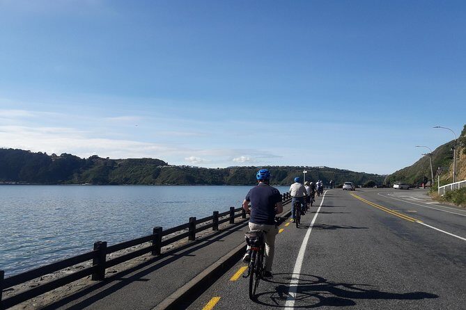 Wellington Guided eBike Tour-Cruise Shore Excursion - The Sum Up