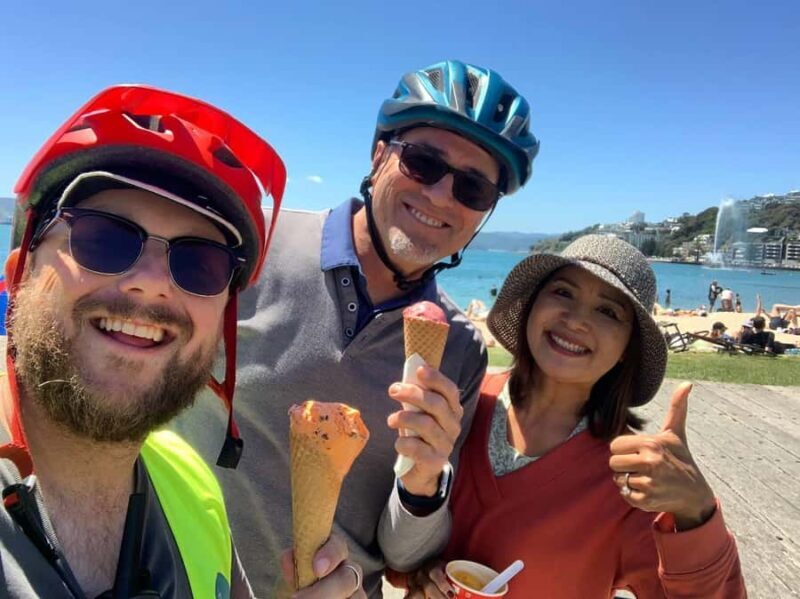 Wellington: Guided Sightseeing Tour by Electric Bike - Key Points  