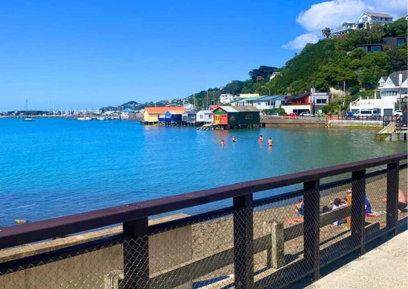 Wellington: Guided Sightseeing Tour by Electric Bike - The Ride Experience: Insights from Reviewers