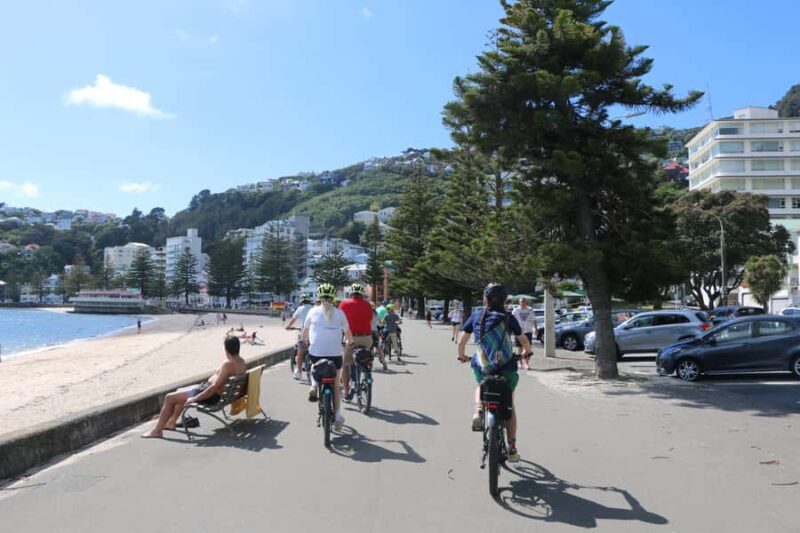 Wellington: Guided Sightseeing Tour by Electric Bike - Practical Details and Value
