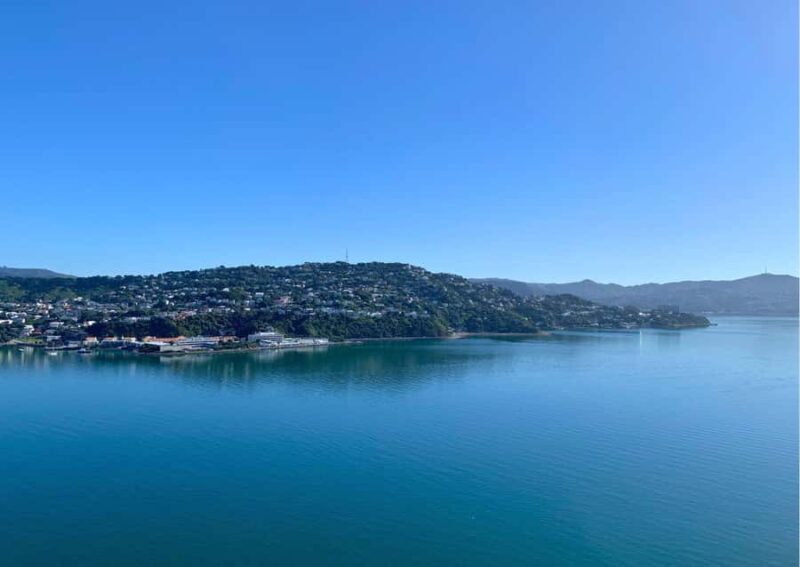 Wellington: Guided Sightseeing Tour by Electric Bike - The Sum Up