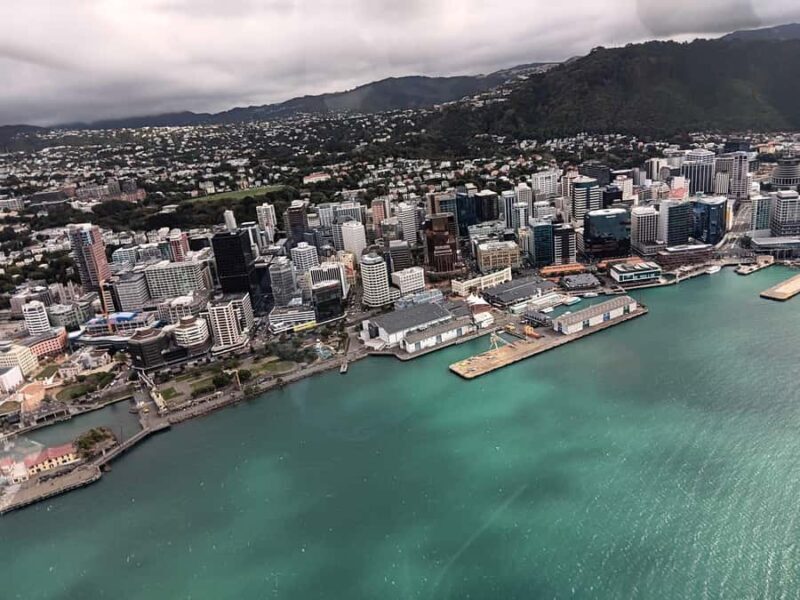 Wellington Helicopter Scenic Flight - Why This Experience Works for Different Travelers