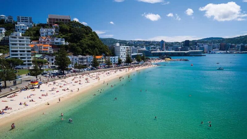 Wellington Helicopters Scenic Harbour Flight - An Overview of the Wellington Helicopter Experience