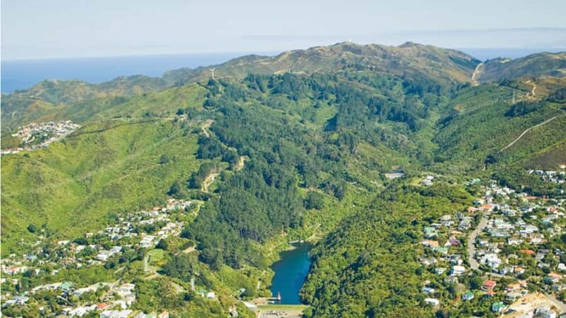 Wellington Helicopters Scenic Harbour Flight - The Experience Provider: Wellington Helicopters