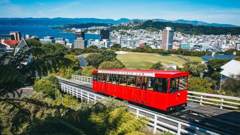 Wellington: Highlights Tour with a Local Guide - What We Love & What to Consider  