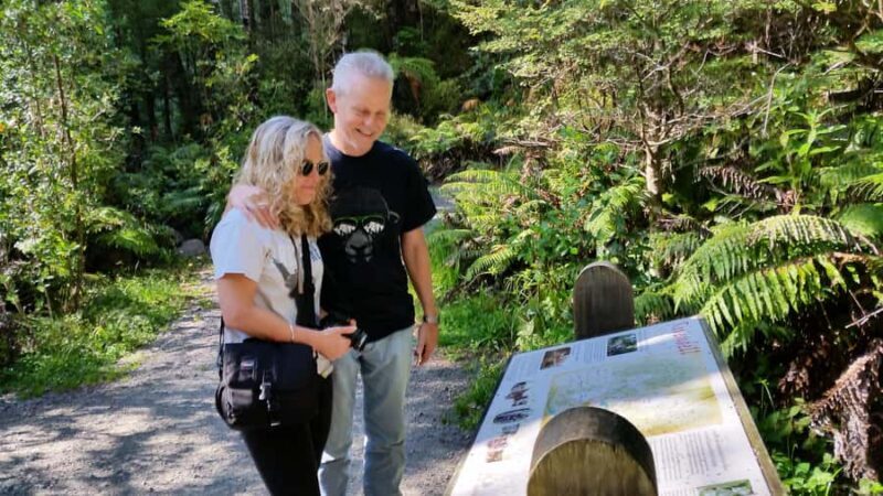 Wellington: Lord of the Rings Filming Locations Tour - The Sum Up: Is This Tour Worth It?