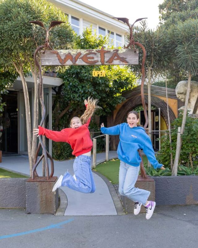 Wellington: Lord of the Rings Half-Day Guided Tour inc Weta - Key Points