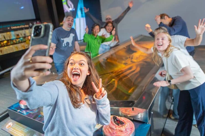 Wellington: Museum of NZ General Admission - The Cost and Value