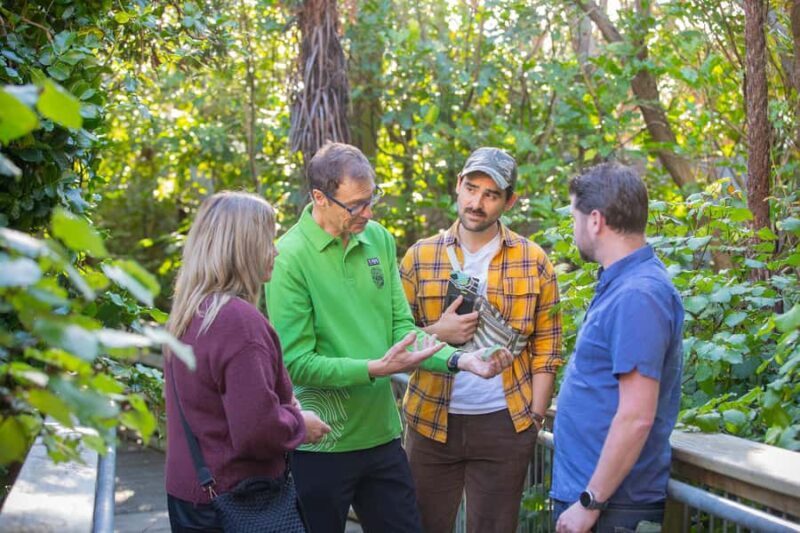 Wellington: Museum of NZ General Admission - Authentic Insights from Reviewers