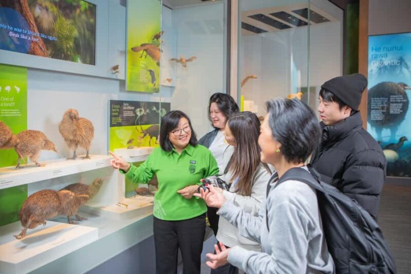 Wellington: Museum of NZ Intro Tour & General Admission - What’s Unique About This Experience