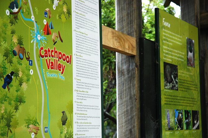 Wellington Native Bush Walking Tour - Key Points