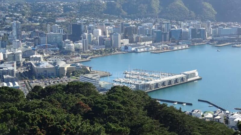 Wellington: Original LOTR Half-Day Experience with Weta - An In-Depth Look at the Tour Experience