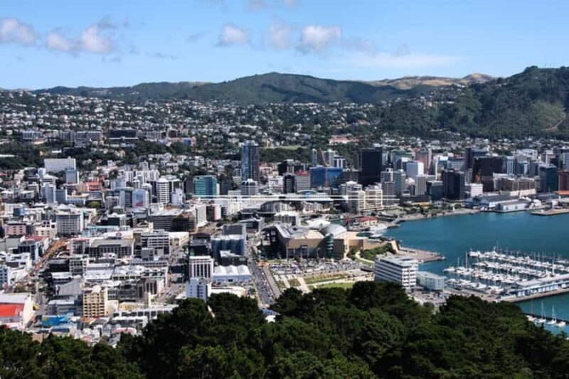 Wellington: Private custom tour with a local guide - What Makes This Tour Stand Out?