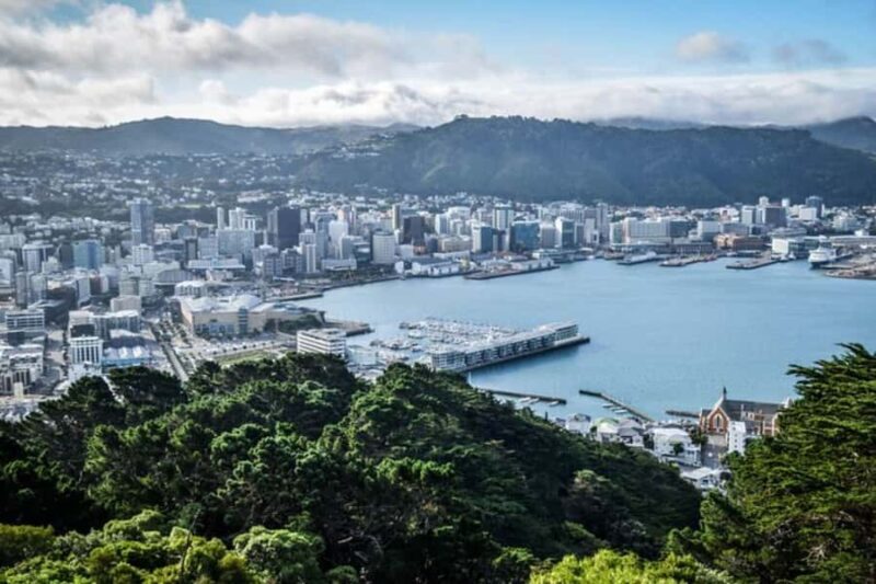 Wellington: Private custom tour with a local guide - How Is the Tour Structured?