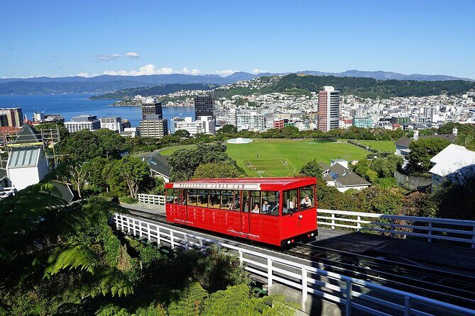 Wellington Private Day Tour with Door to Door Transfers - Key Points