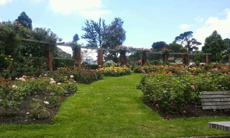 Wellington: Private Day Tour with Lunch - Key Points  