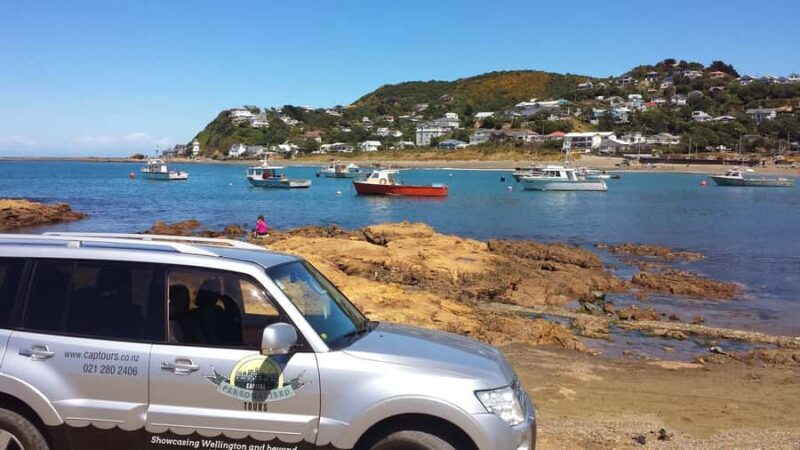 Wellington: Private Day Tour with Lunch - Practical Aspects and Value  