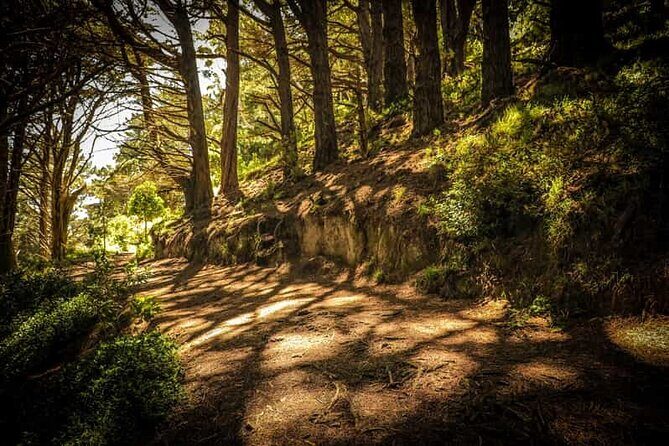 Wellington Private Highlight Fullday tour - Who Would Enjoy This Tour?