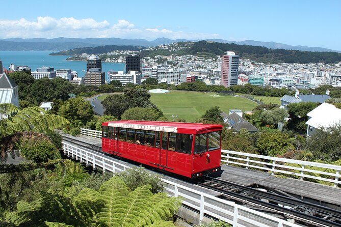 Wellington Scenic Full Day Tour - Wellington Scenic Full Day Tour: Experience the Heart of New Zealand’s Capital