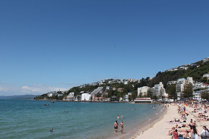 Wellington Scenic Full Day Tour - Who Would Love This Tour?