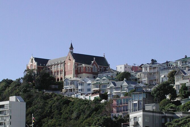 Wellington Shore Excursion City Sightseeing Tour - Pricing and Value