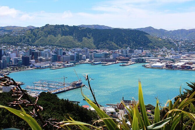 Wellington Shore Excursion City Sightseeing Tour - Pros and Cons