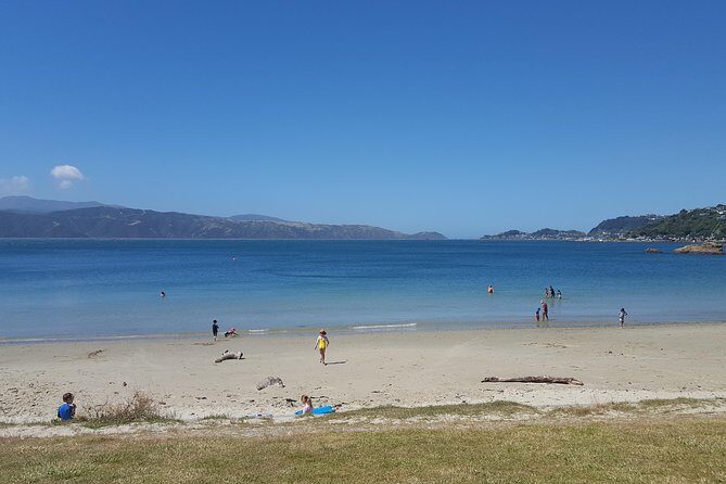 Wellington Shore Excursion: From Cave to Coast Highlights Private Tour - The Sum Up