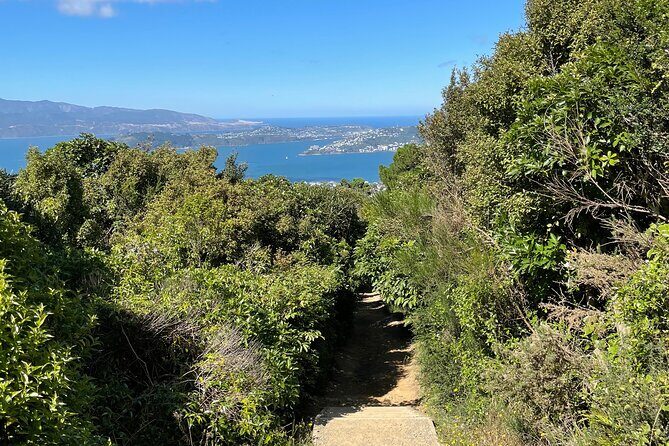 Wellington: Wild Skyline Guided Hiking Tour, Transfers + Lunch - Itinerary Breakdown: What to Expect