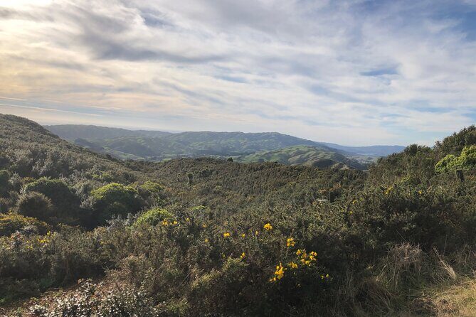 Wellington: Wild Skyline Guided Hiking Tour, Transfers + Lunch - Who Will Love This Tour?
