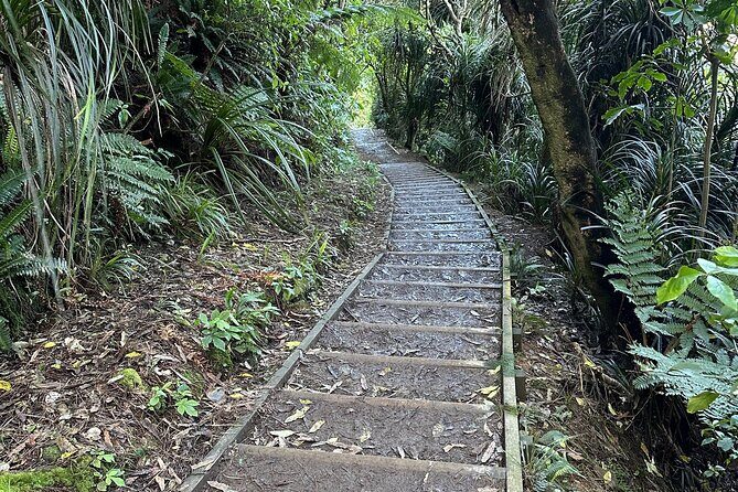 Wellington: Wild Skyline Guided Hiking Tour, Transfers + Lunch - The Sum Up