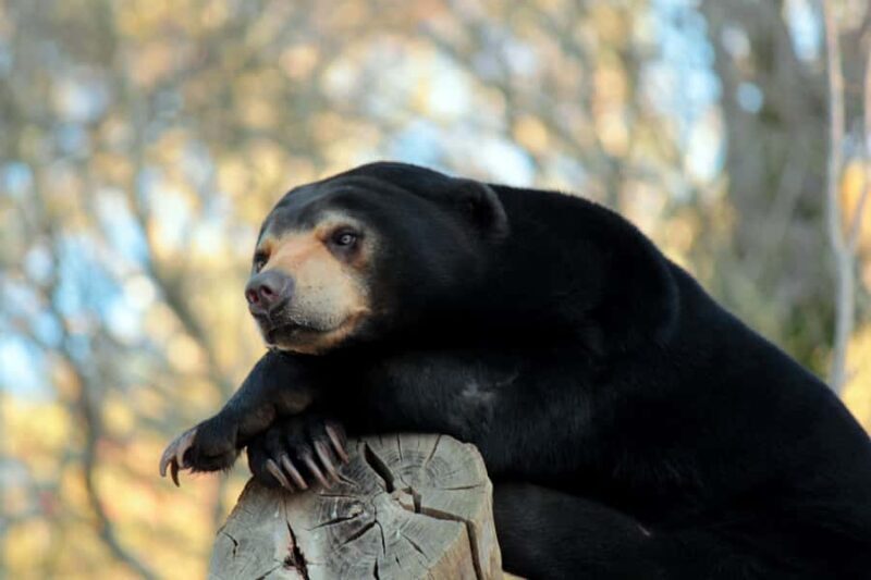 Wellington Zoo General Entry Tickets - The Sum Up