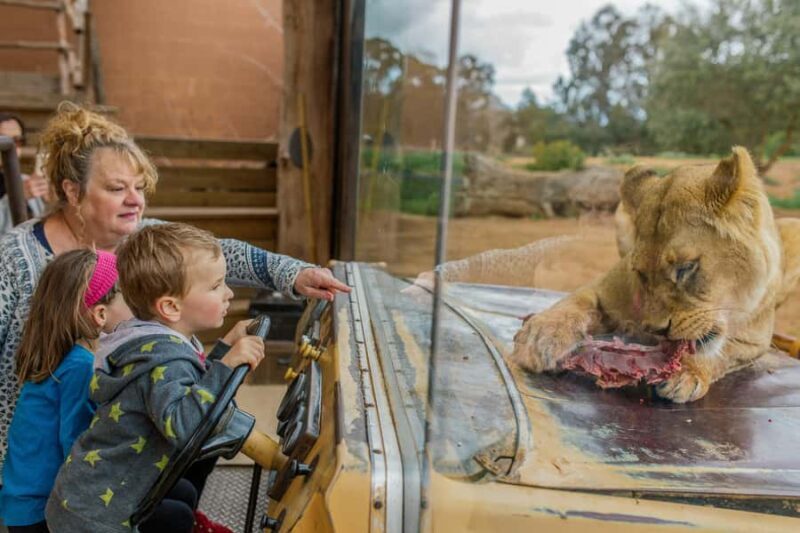 Werribee Open Range Zoo: Entry Ticket - The Safari Experience: A Closer Look
