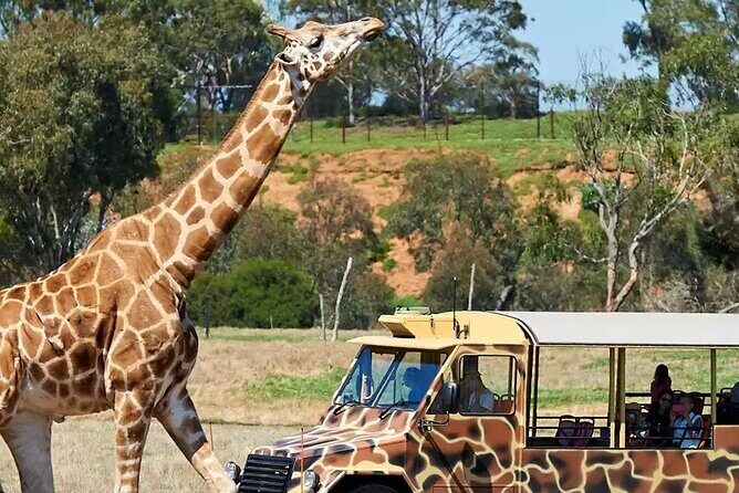 Werribee Zoo & Werribee Mansion Tour - A Quick Look at This Werribee Tour
