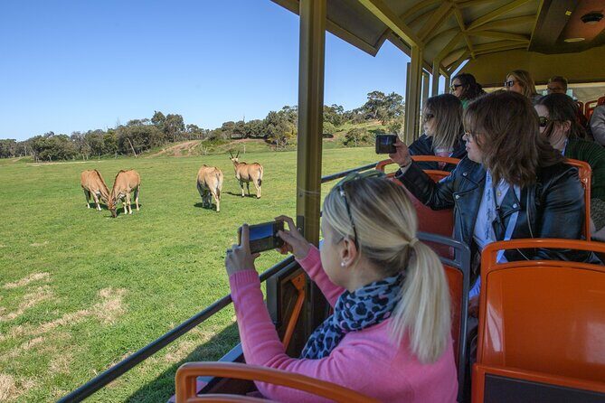 Werribee Zoo & Werribee Mansion Tour - FAQ