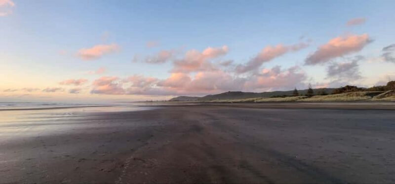 West Auckland: Sunset with Thermal pool & Wine Tasting - Final Thoughts