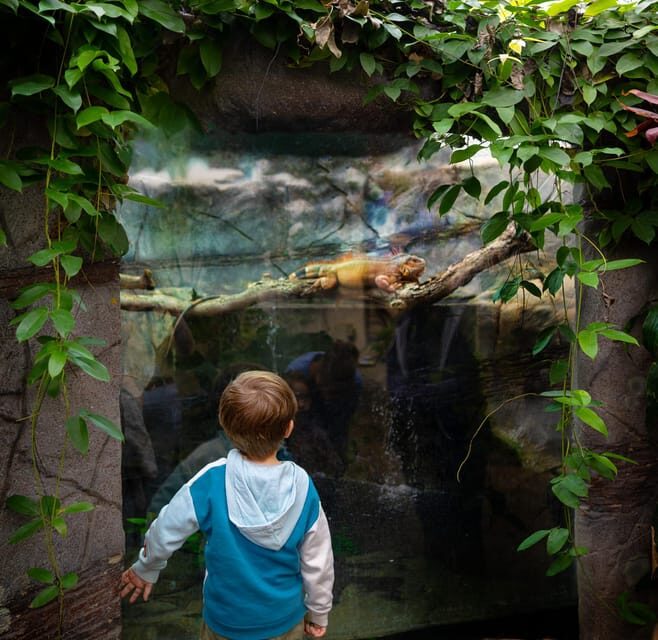 West Berkshire,UK: The Living Rainforest Centre Entry Ticket - An Insightful Look at The Living Rainforest Experience